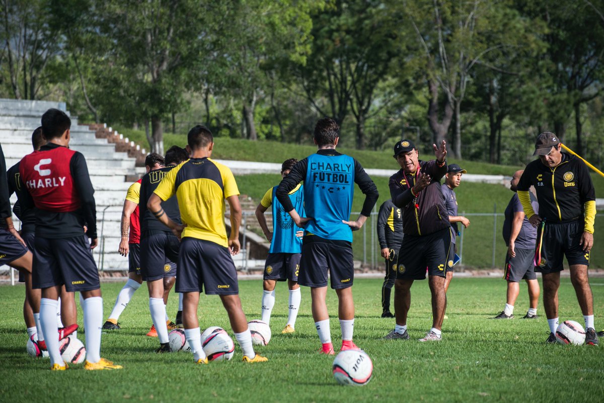 Mira en vivo Leones Negros vs Cimarrones: Ascenso Mx, este domingo ...