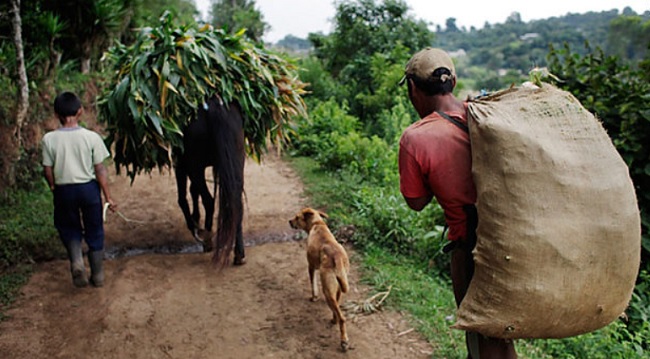 Millonarios gastos y pobres resultados en reducir la pobreza rural ...